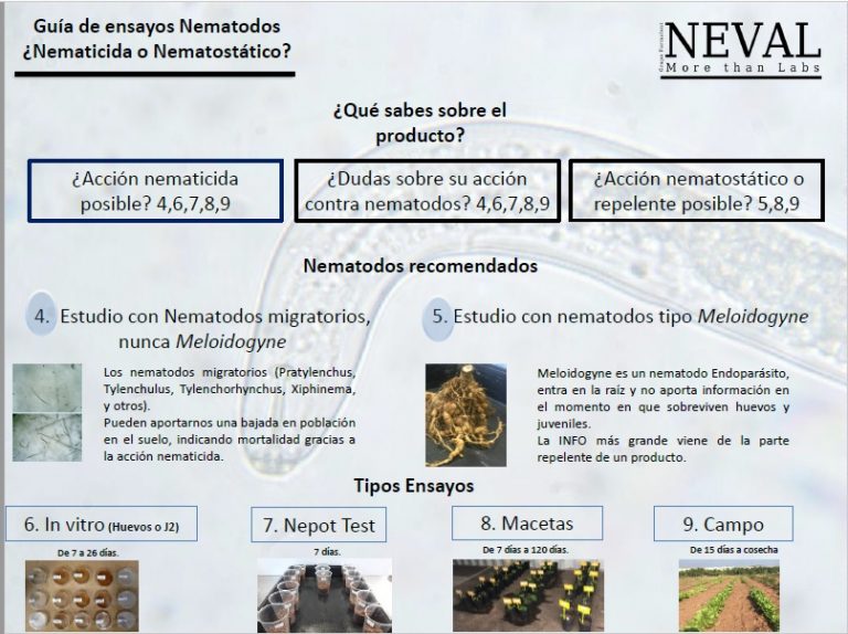 Guía de estudios Nematicidas y Nematostáticos - NEVAL. Ensayos de Eficacia