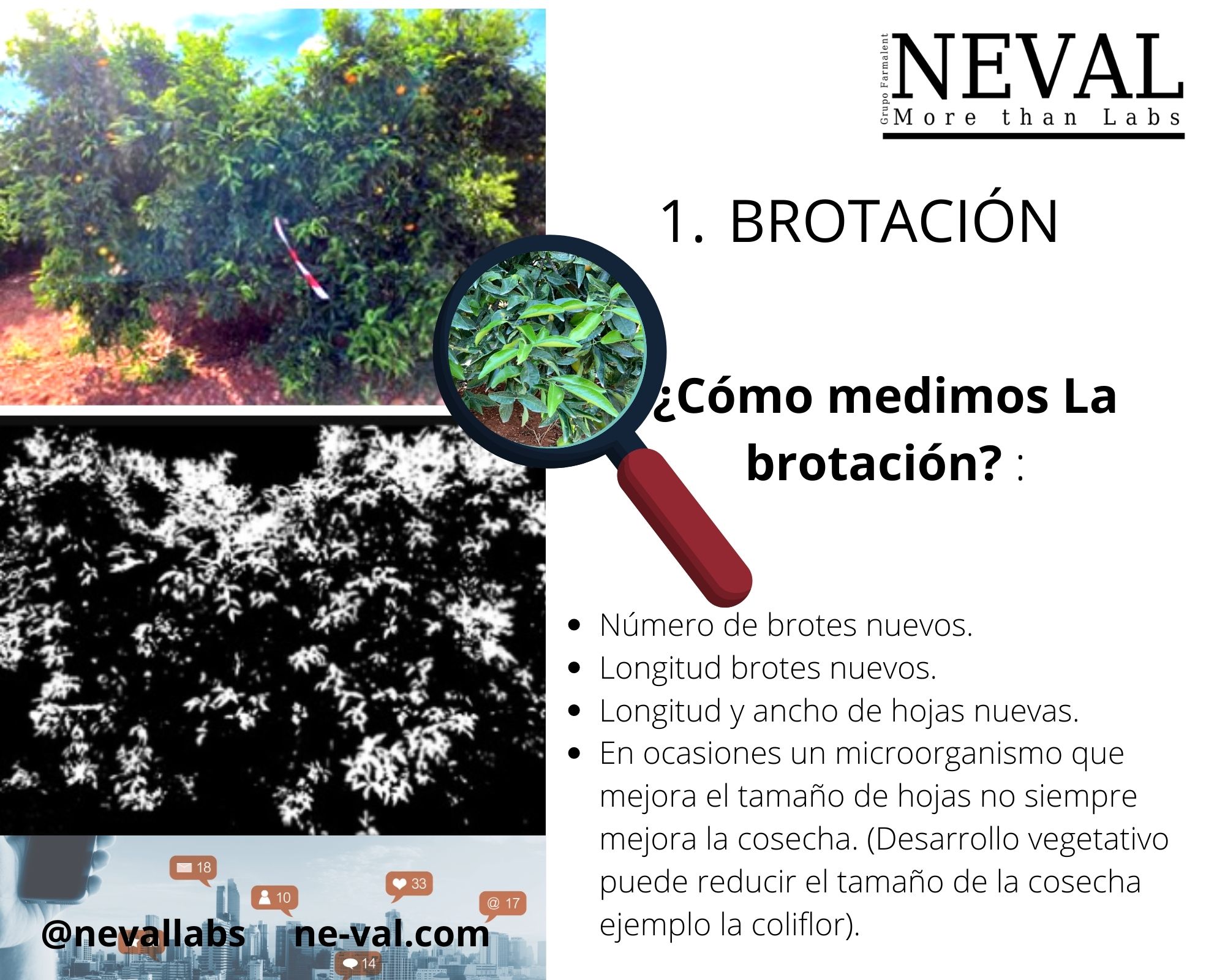 Los Parámetros más importantes para medir la Eficacia de un producto ...