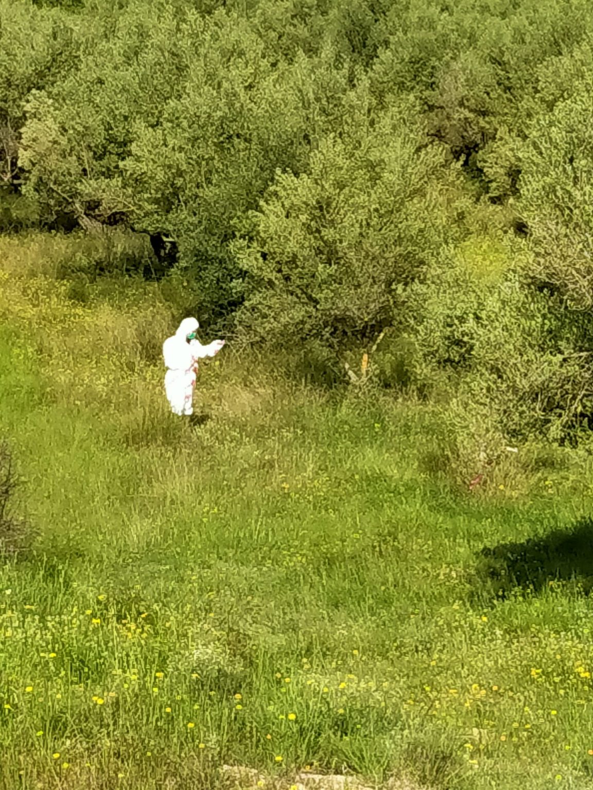 IYFV. NEVAL da la Bienvenida al 2021 - NEVAL. Ensayos de Eficacia