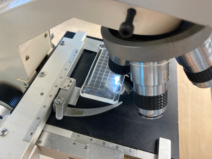 IYFV. NEVAL da la Bienvenida al 2021 - NEVAL. Ensayos de Eficacia