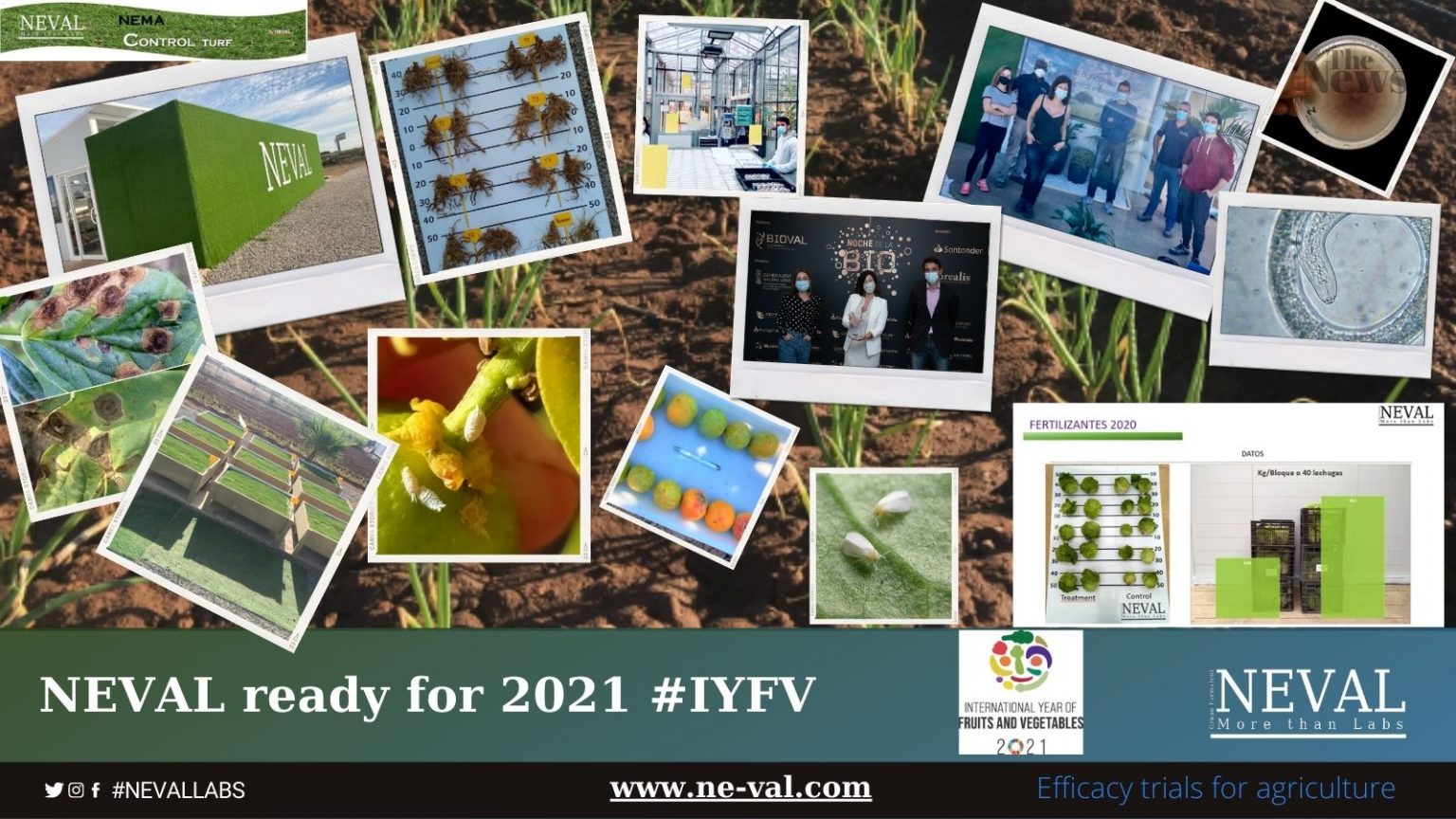 IYFV. NEVAL da la Bienvenida al 2021 - NEVAL. Ensayos de Eficacia