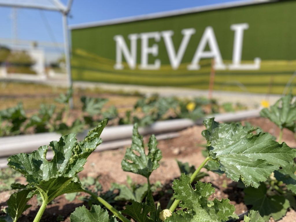 Trabajar en NEVAL - NEVAL. Ensayos de Eficacia