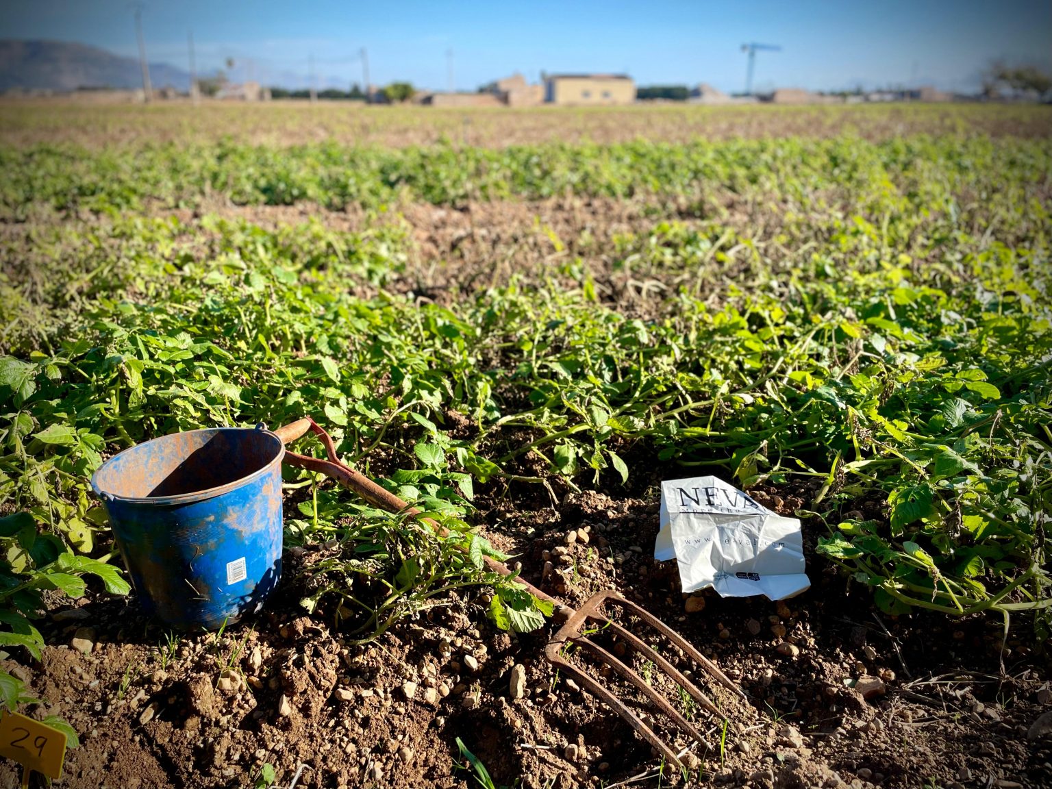 Blog - NEVAL. Ensayos de Eficacia